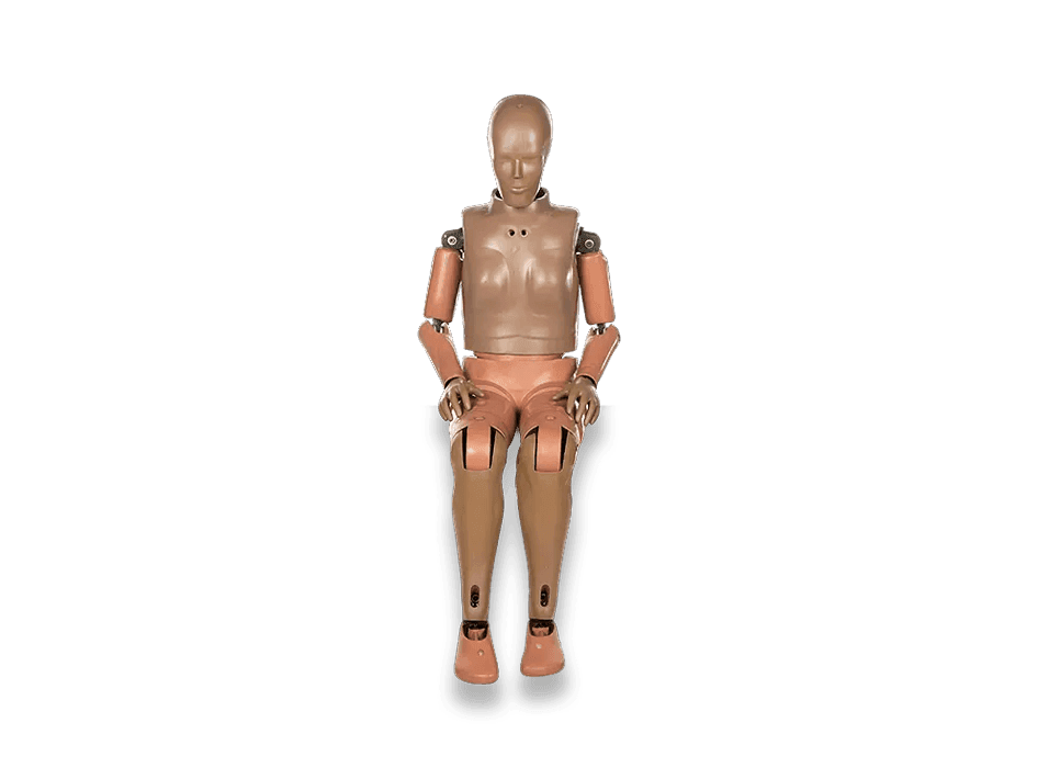 Euro NCAP | Crash‑test dummies | Meet Euro NCAP's dummy family